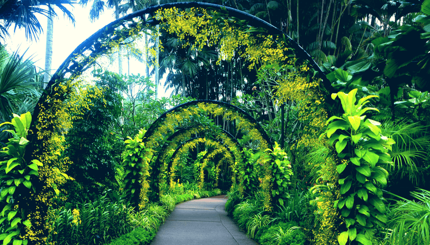 5 Things You Can Only Do in Singapore - Globelink Blog